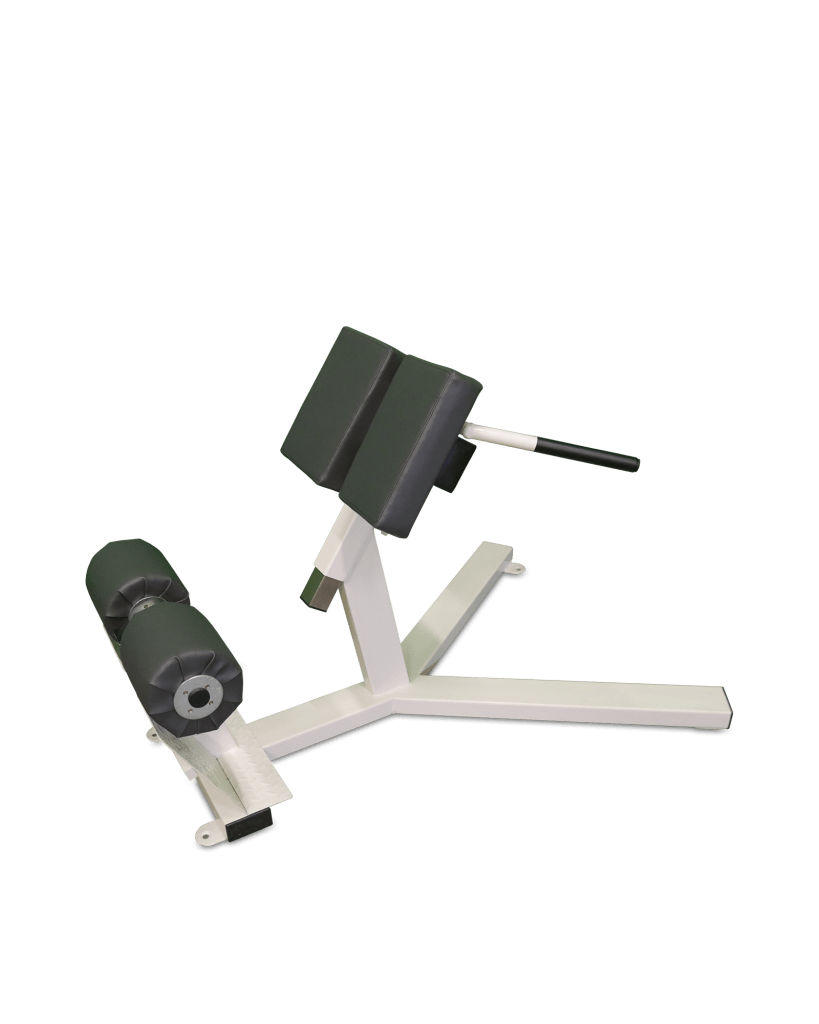 X Hyper extension Bench - Real Swiss Fitness